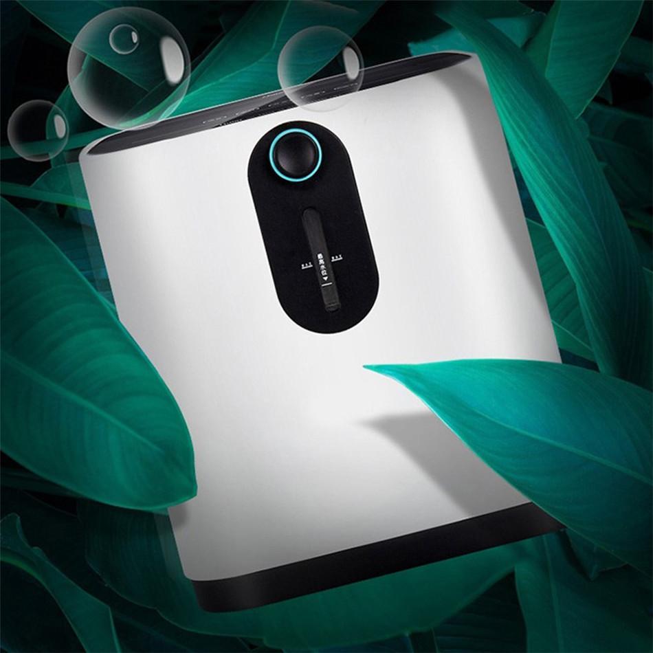 Smart Oxygen Concentrator for Home 1-6L/min adjustable – TTLIFE OXYGEN ...